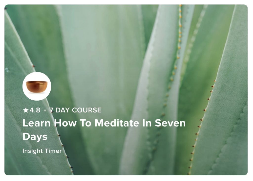 That's The Best Time To Meditate - Insight Timer Blog