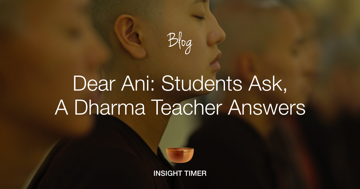 8 Meditation Questions Most Students Ask - Insight Timer Blog
