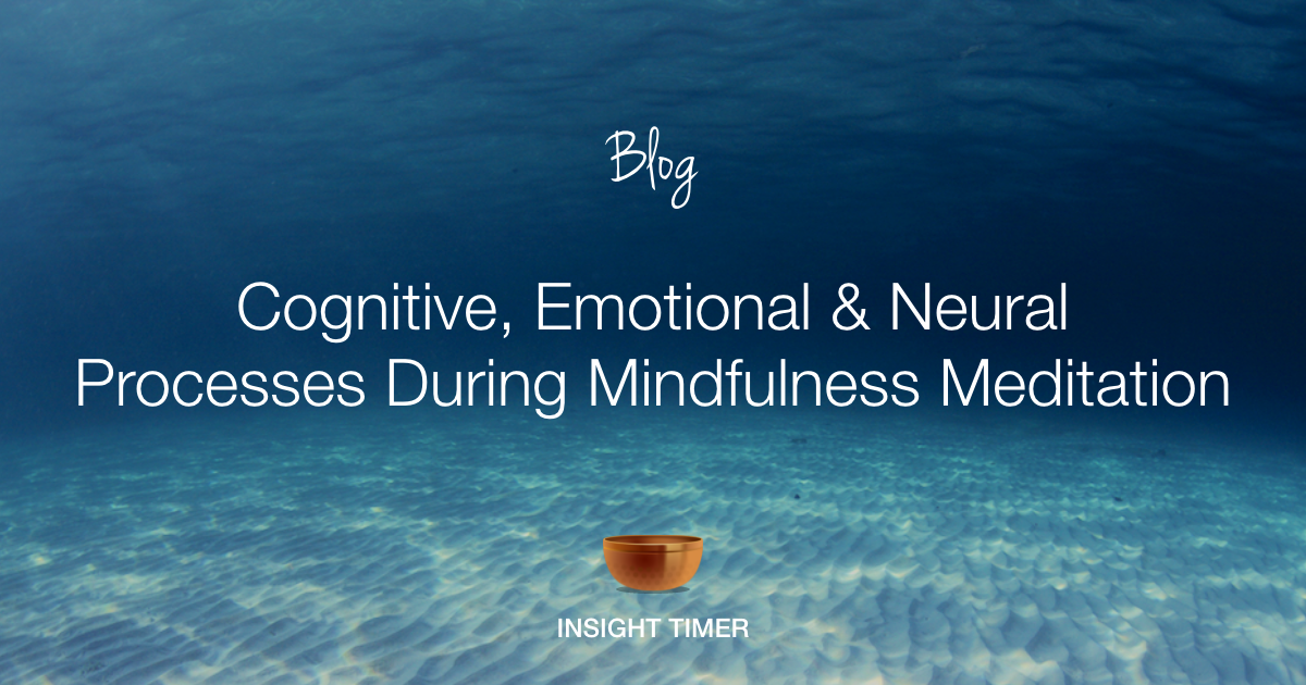 Cognitive, Emotional & Neural Processes During Mindfulness Meditation
