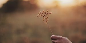 Radical Compassion: Tara Brach's Approach To Healing - Insight Timer Blog