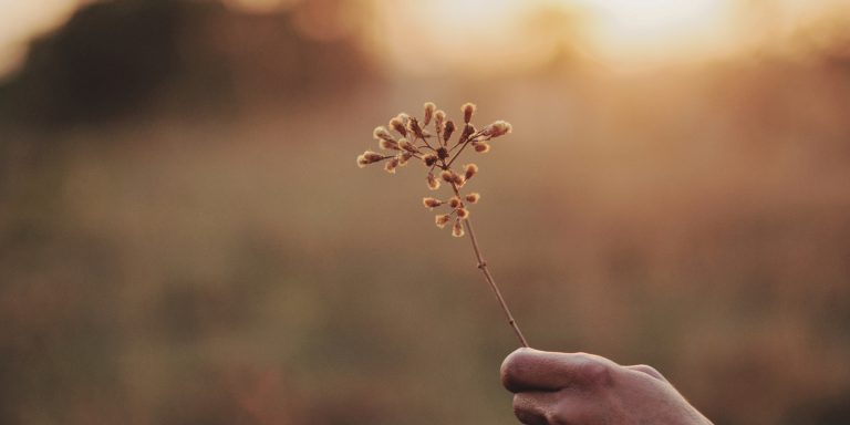 Radical Compassion: Tara Brach's Approach To Healing - Insight Timer Blog