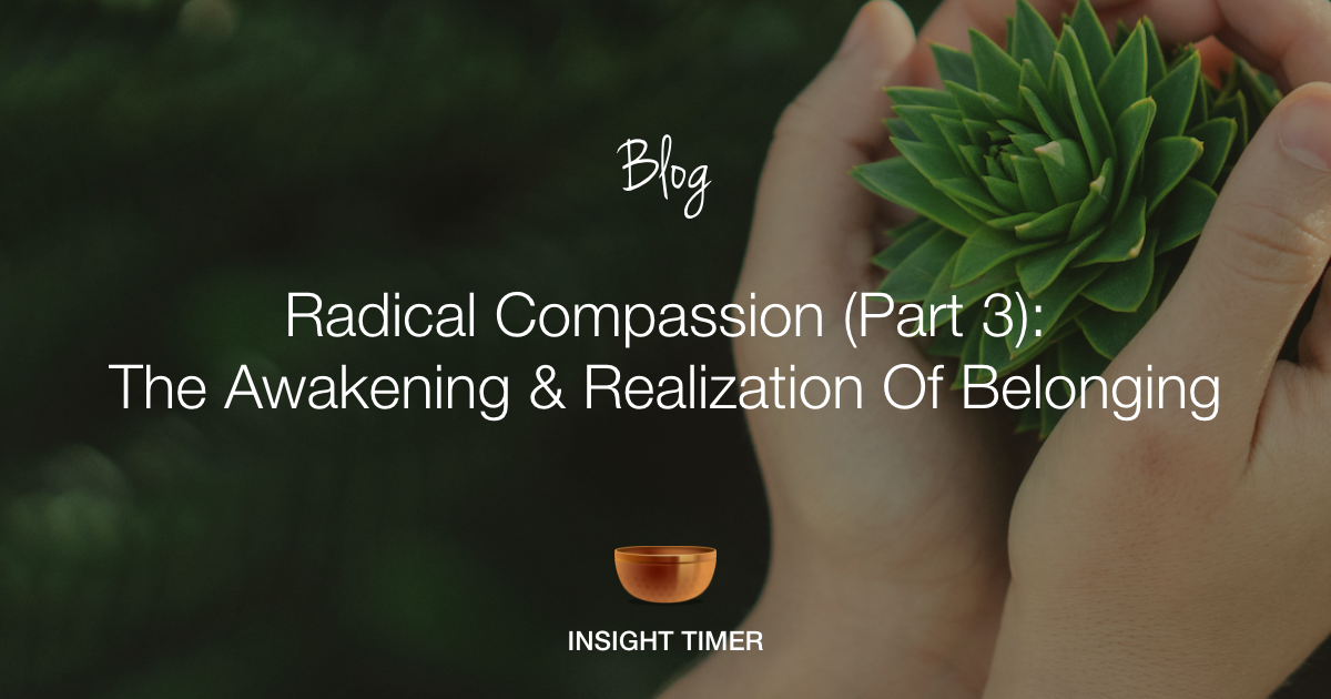 Radical Compassion & The Sense Of Belonging - Insight Timer Blog