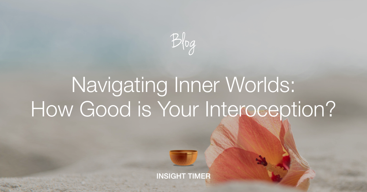 Interoception: How To Navigate Your Inner World - Insight Timer Blog