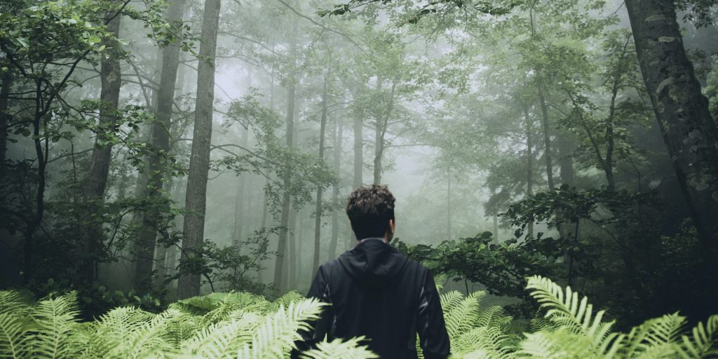 Visualization For Anxiety Relief: How It Works - Insight Timer Blog