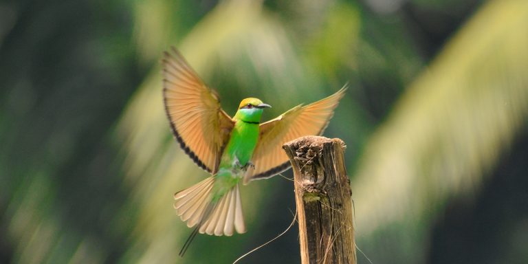 Using Mindfulness & Compassion In Difficult Times - Insight Timer Blog