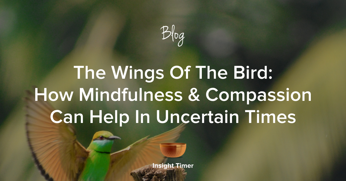 Using Mindfulness & Compassion In Difficult Times - Insight Timer Blog