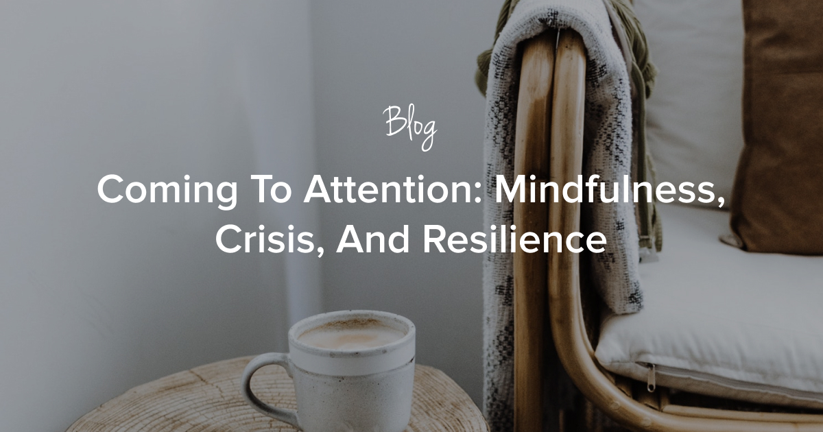 Mindfulness, Crisis & Resilience - Insight Timer Blog
