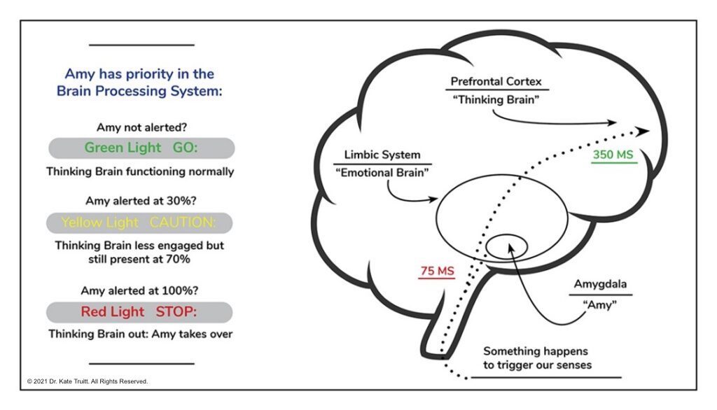 Calming And Healing The Fear Brain - Insight Timer Blog