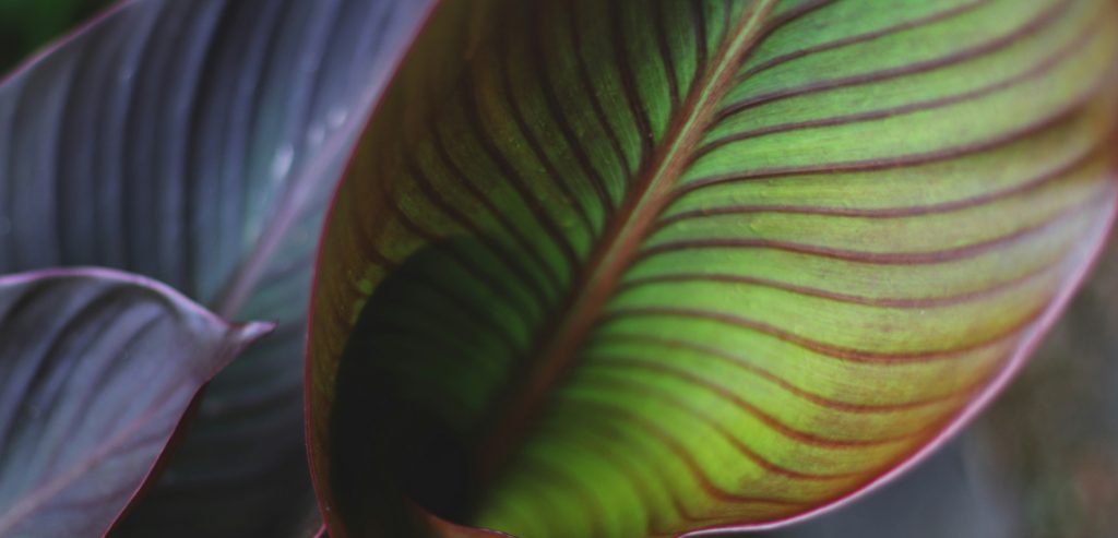 Insight Timer Blog - Blog of the #1 free app for meditation & sleep