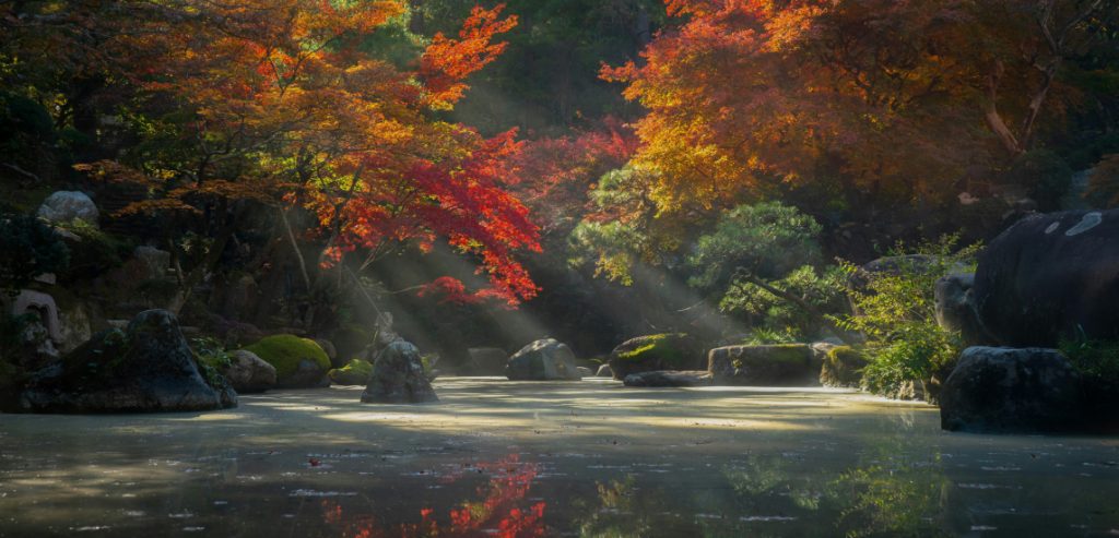 Insight Timer Blog - Blog of the #1 free app for meditation & sleep